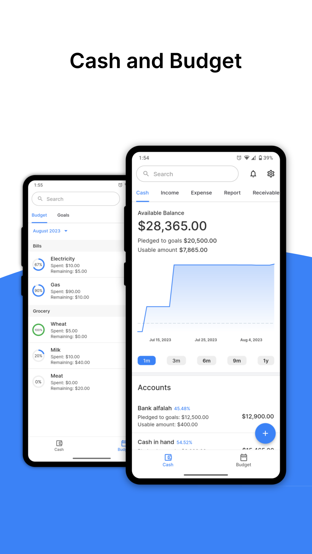 Cash And Budget Cash And Budget